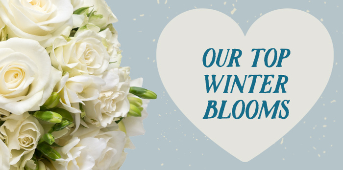 Pretty Fun Winter Flowers - Neubauers Flowers