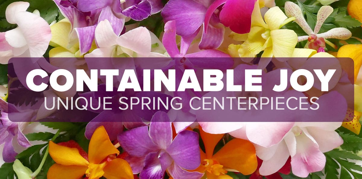 Unique Ways to Display the Lovely Flowers of Spring - Neubauers Flowers