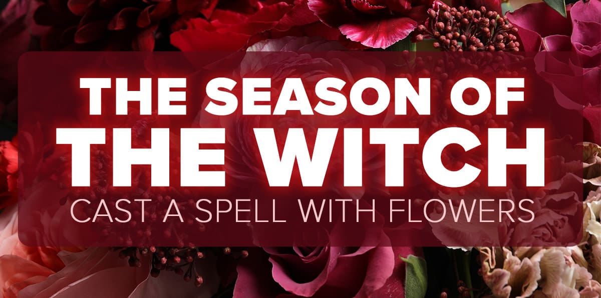 Witchy Flowers with Mystical Symbolism and Enchanted Energy - Neubauers ...
